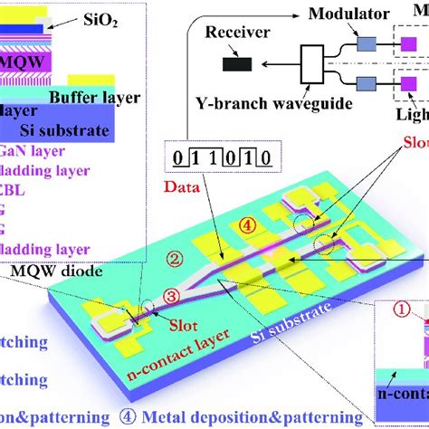 Schematic Diagram Of The Proposed Photonic Integrated Chip Download
