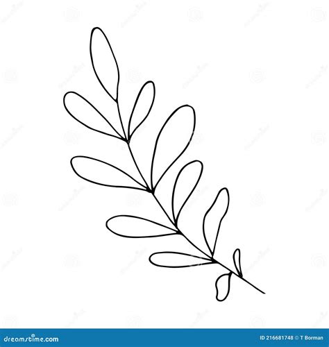Vector Branch With Leaves Black And White Minimalistic Botanical