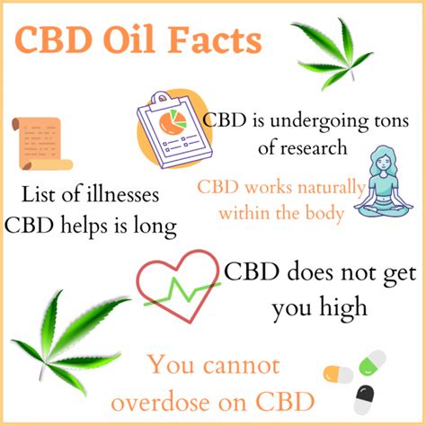 Cbd Guide What You Should Know Before Buying High Strength