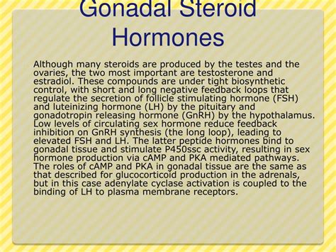Ppt D Steroid Hormones Powerpoint Presentation Free Download Id