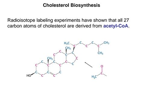 Solution Cholesterol Synthesis 1 Studypool