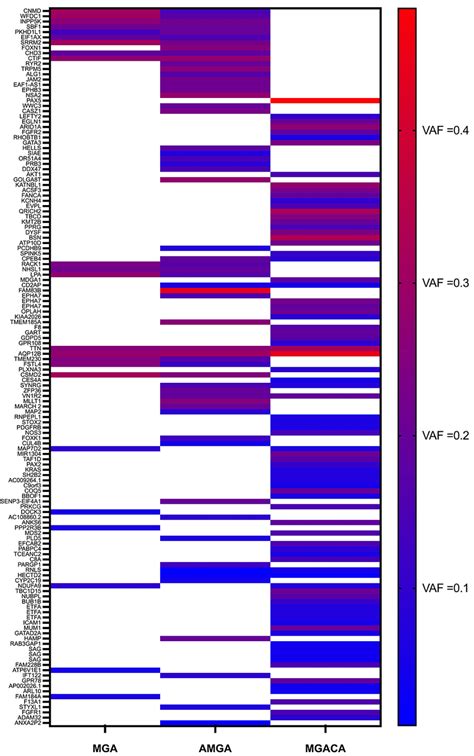 Heatmap Of All Single Nucleotide Variants Identified By Whole Exome