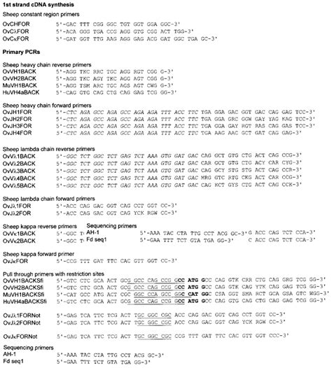 Primers Were Designed Using Published Sheep Antibody Gene Sequences Download Scientific Diagram
