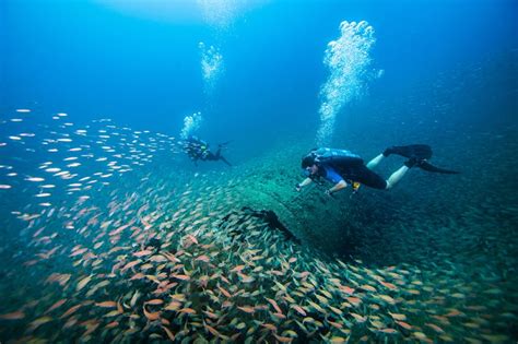 The 8 Best Places To Scuba Dive In North Carolina Dive Aeris