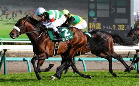 写真会議室 スポニチ競馬web