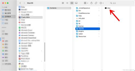 解决mac下应用程序“intellij idea”无法打开（jetbrains全家桶同理） 你无法打开应用程序“intellij idea