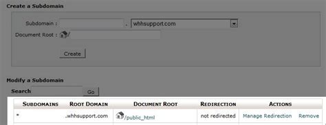 How To Set Up Wildcard Subdomains DNS Web Hosting Hub