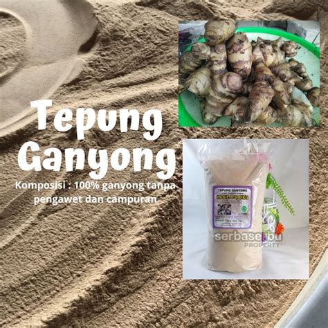 Jual Tepung Ganyong 1 Kg Tepung Umbi Ganyong Free Gluten Tepung Organik Halus Shopee