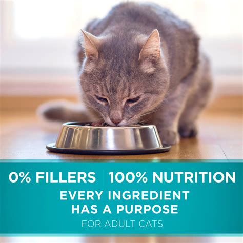 Purina One Urinary Tract Health Formula Adult Dry Cat Food Sleek Markets
