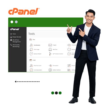 Fast Secure Web Hosting India No Cpanel Hosting With Net Secure