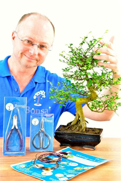 Large Twisty Beginners Bonsai Kit Pruning Wiring