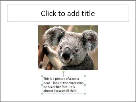 Resize Text Boxes Accurately On A Slide In PowerPoint PowerPoint Tutorials