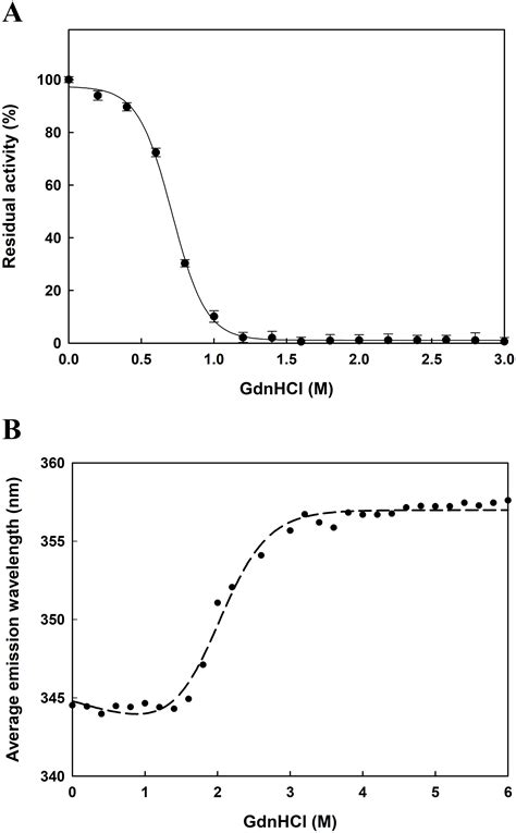 High Level Expression And Molecular Characterization Of A Recombinant