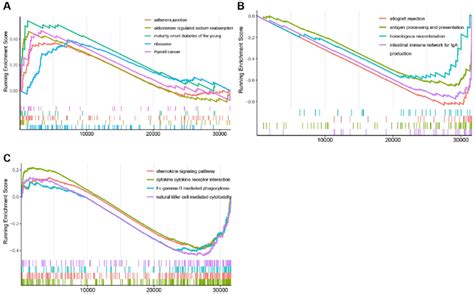 Gsea Plots Of Hallmark Pathway A Gsea Plots Of The Activated Download Scientific Diagram