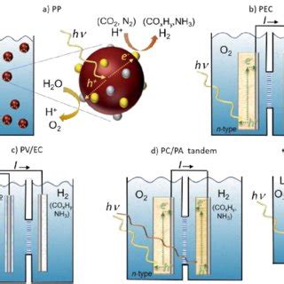 Schematic Representation Of The Different Architectures Used For SFs Download Scientific
