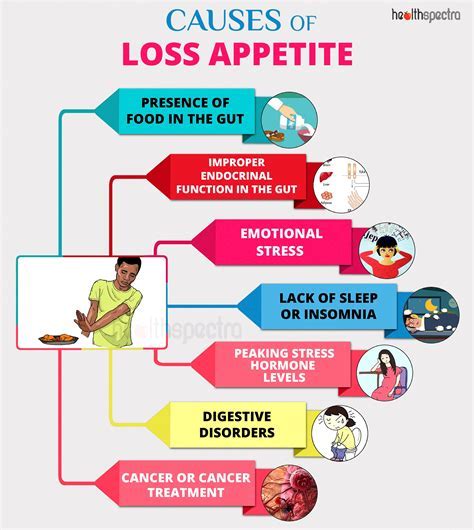 Appetite Loss