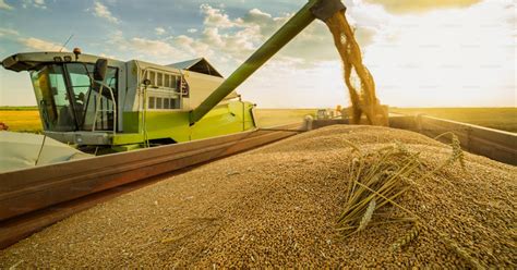 밀밭에서 작동하는 콤바인 수확기 사진 Unsplash의 밀 농장 이미지