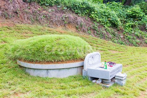 산소 무덤 벌초 잔디 녹색 사진 이미지 일러스트 캘리그라피 Sinsy작가