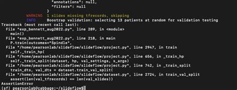 Bug Bootstrap Valtfrecords And Trainingtfrecords Assertionerror · Issue 191 · Slideflow