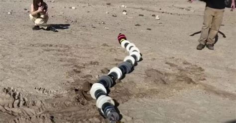 Engineer Who Failed To Get Into IIT Creates NASA S Snake Like Robot EELS Inspired By Indian Python