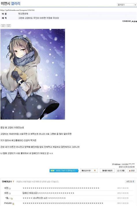 은혜갚은고양이 인스티즈 Instiz 이슈 카테고리