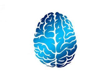 What Effect Does TMS Have On The Brain Neuroscience News