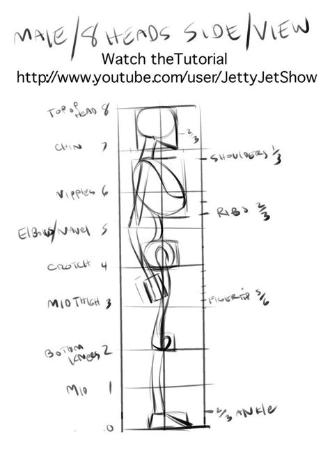 Side View Bone Tutorial By JetEffects Deviantart Com On DeviantArt Figure Drawing Female