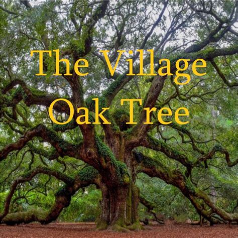 The Village Oak Tree Newsletter By Terrance Ó Domhnaill