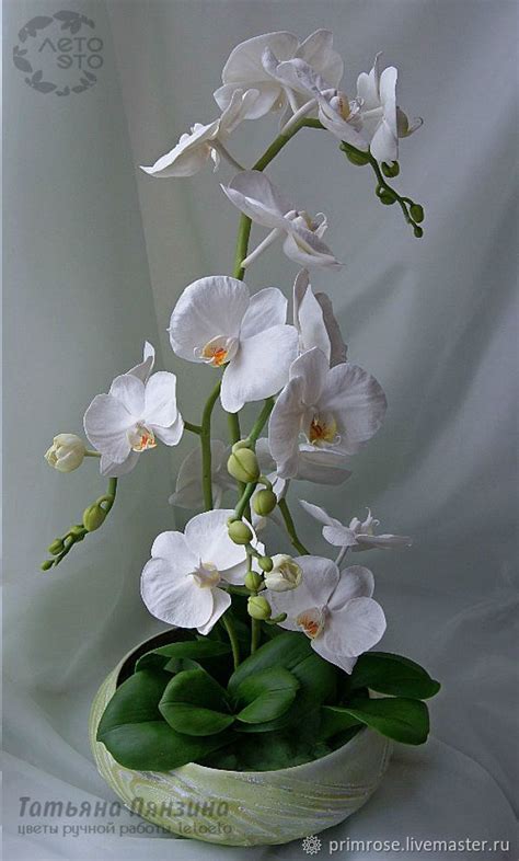 Интерьерные композиции ручной работы БЕЛЫЕ ОРХИДЕИ 15 интерьерная композиция цветы из