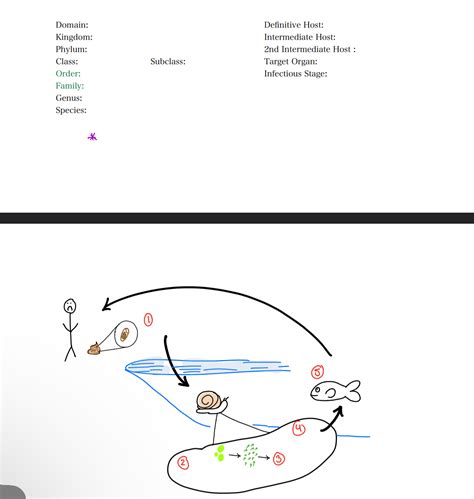 Solved