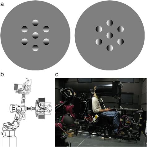 A Shape From Shading Stimuli Central Patch 3 03 Visual Angle