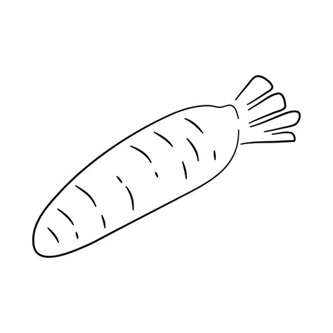 Premium Vector Parsnip Doodle Icon Hand Drawn Black Sketch Vector Illustration