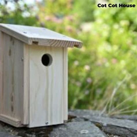 Nichoir à Oiseaux En Kit Pour Mésanges Cot Cot House