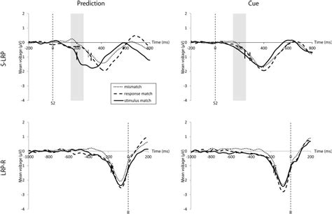 Top Stimulus Locked Lrp Waveforms For The Prediction Condition Left