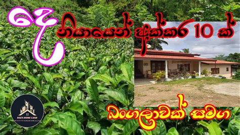 Tea Land And Bungalow For Sale තේ වත්ත සමග බංගලාවක් විකිණීමට