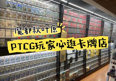 满墙的白帽莉莉艾，上海这家ptcg卡牌店一定要去！ 欧哈游动漫卡牌屋 欧哈游动漫卡牌屋 哔哩哔哩视频