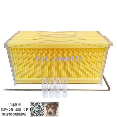 熱銷 自動流蜜 流蜜箱蜜蜂脾意蜂塑料自流蜜巢脾蜂蜜巢框蜂箱 露天市集 全台最大的網路購物市集