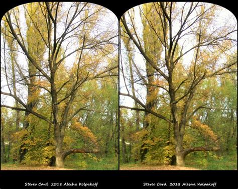 Pin By John Repiso On 3d Stereo Photostereo Pair Stereoview Optical