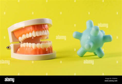 Virus And Bacteria Model On A Yellow Background Dental Jaw Mockup The