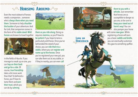 File Breath Of The Wild Explorer S Guide 39 Zelda Dungeon Wiki A