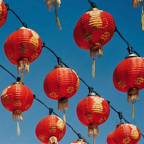 Luckiest Chinese Zodiac Signs In 2025 Thatll See Success Prestige Sg