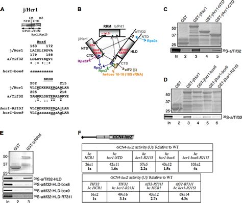 Effects Of Box6 And Kerr Substitutions In Jctd And Ahld On Binary Download Scientific Diagram