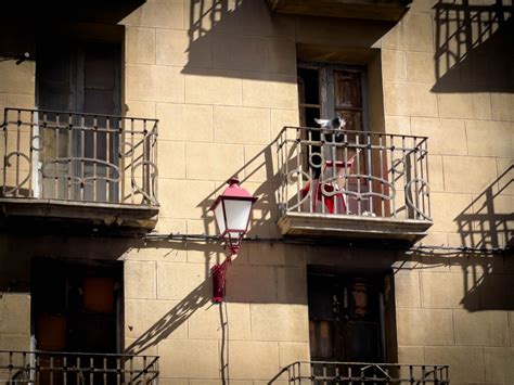 Libertad Y Soledad