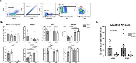 Hcmv Infection Alters Cnk And Lrnk Phenotypes A Nk Cell Subsets Within