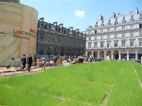 LINCROYABLE RÉCOLTE sur la place du Palais Royal Paris er La place Paris Palais royal