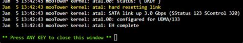Font Issue When Displaying Codeterminal Text Rvivaldibrowser