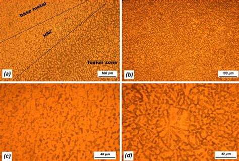 Microstructure Of Joint A Microstructure Near The Junction B Network Download Scientific
