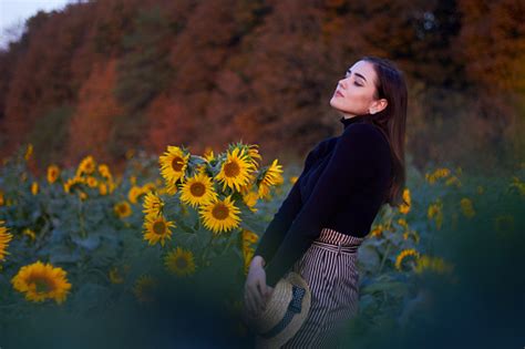 해바라기의 필드에 자연을 즐기는 밀짚 모자와 아름다운 사랑스러운 소녀 일몰 가을 시간 갈색 머리에 대한 스톡 사진 및 기타