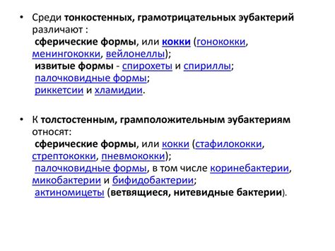 Микробиология как наука предмет её изучения исторические этапы