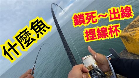阿凱釣魚去 什麼大物～能讓我捏線杯 Youtube